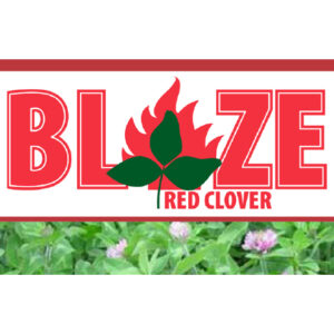 Blaze Red Clover - e - is for everything forage